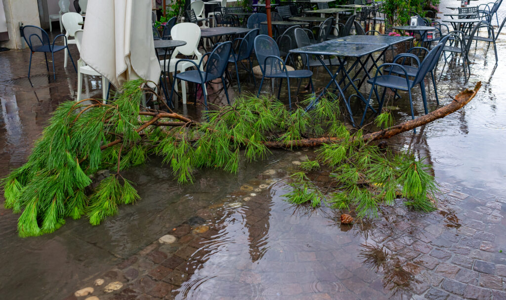 Restaurants Impacted by Hurricane Helene Can Apply to Operate Under ...