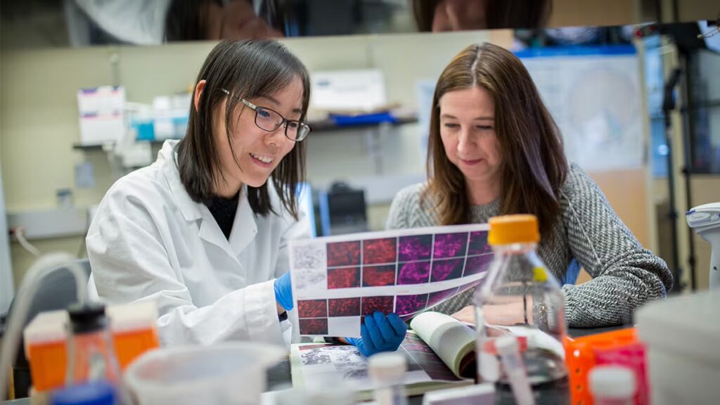 UNC School of Medicine Launches New 9-Month Biomedical Master’s Degree ...